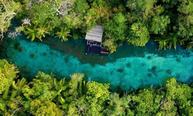 Bonito Brazil: Hidden Paradise for Nature Lovers - Brazil Unlocked